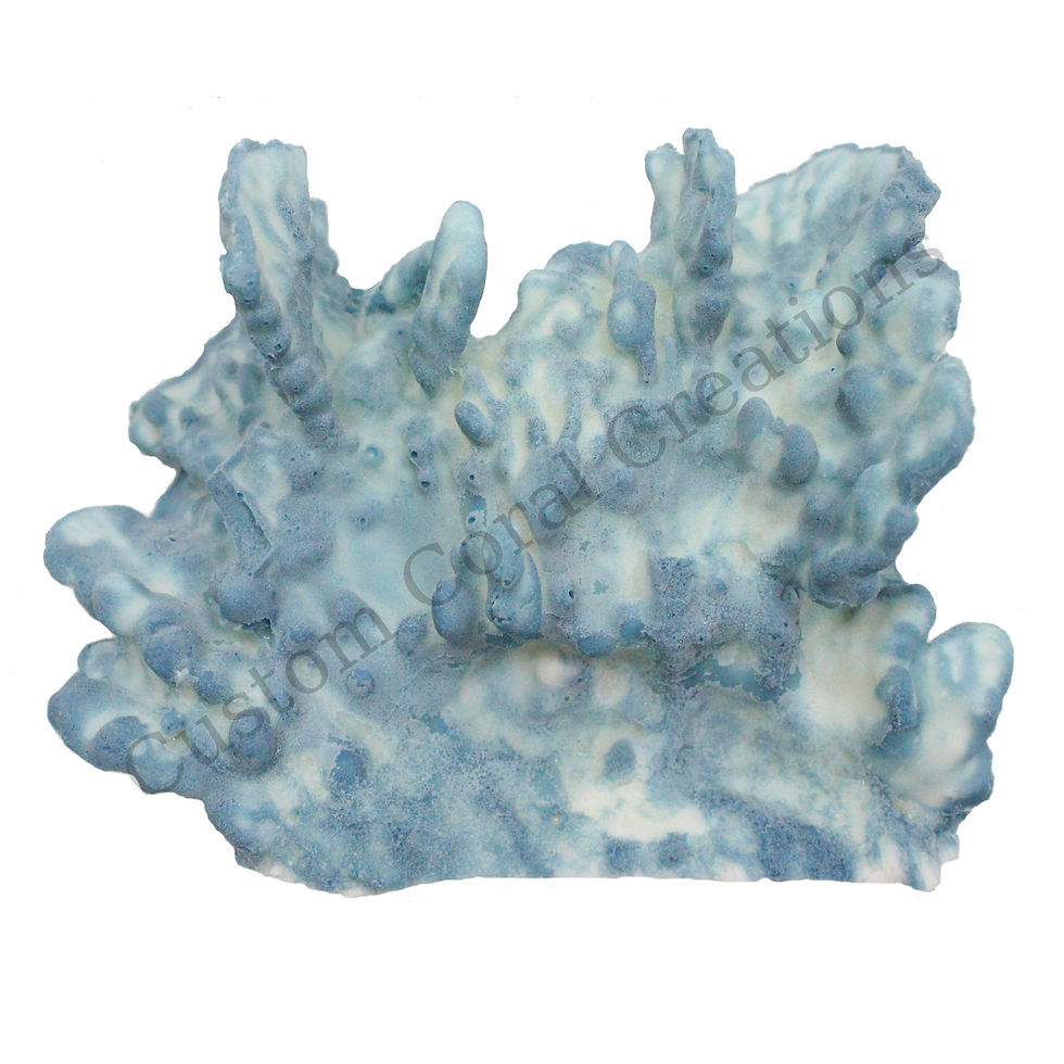 Custom Coral Creations: Artificial Coral Shop 3/4