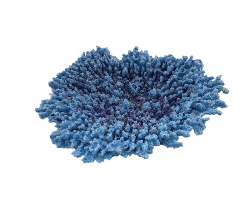 Table Top Acro Medium | customcoralcreations