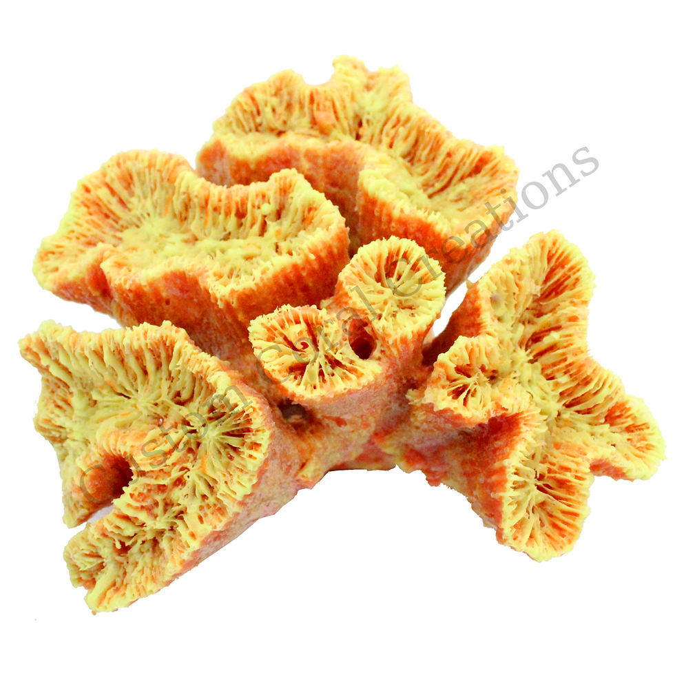 Custom Coral Creations: Artificial Coral Shop 2/4