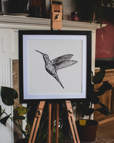 Hummingbird | Facts & Fineliners