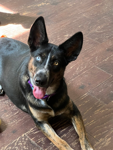 Star - Great Gorgeous Girl | Mysite