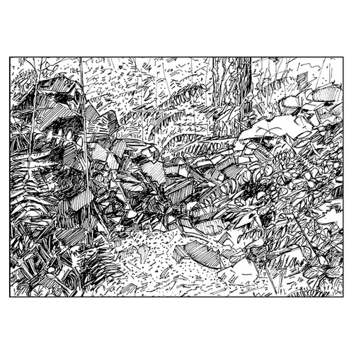 Undergrowth | rod-shaw