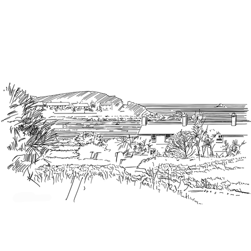 View Towards the Harbour - Tresco | rod-shaw