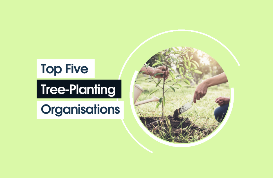 Top Five Tree-Planting Organisations