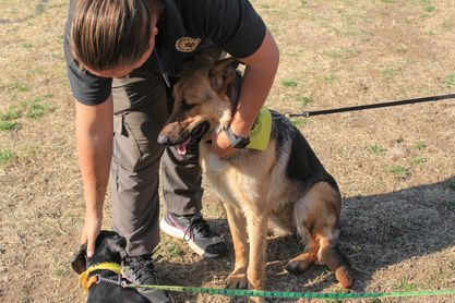 SPCA celebrating 75 years of helping animals in need