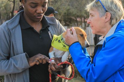SPCA celebrating 75 years of helping animals in need