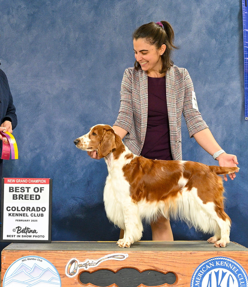 NEW GRAND CHAMPION