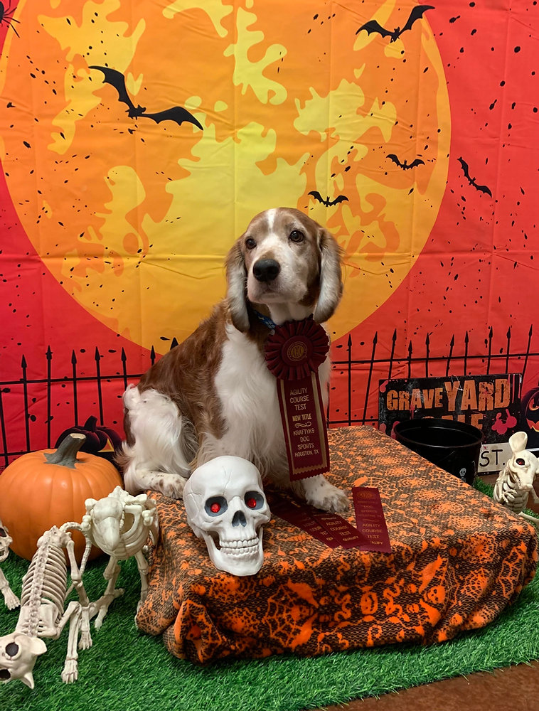 CH STATESMAN'S RED DRAGON CD,BN,RI NEW TITLE