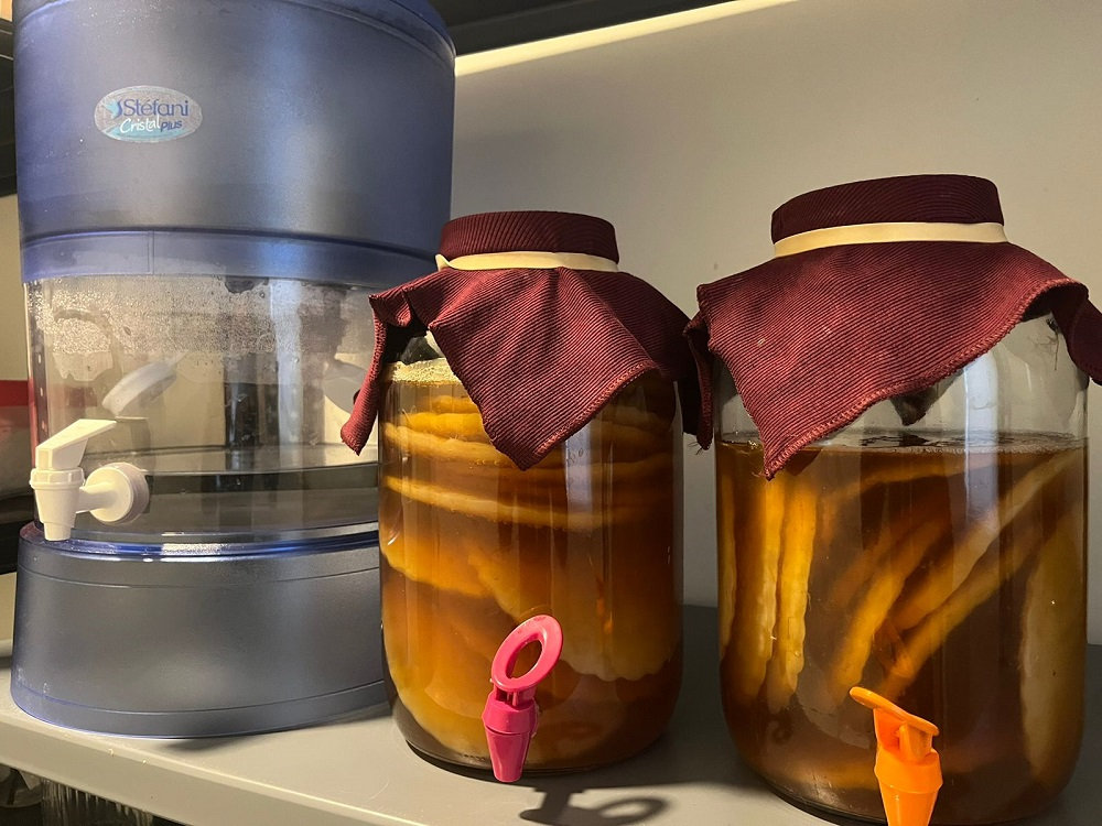 Kombucha Perú | ¿Qué agua puedo usar para hacer kombucha ...
