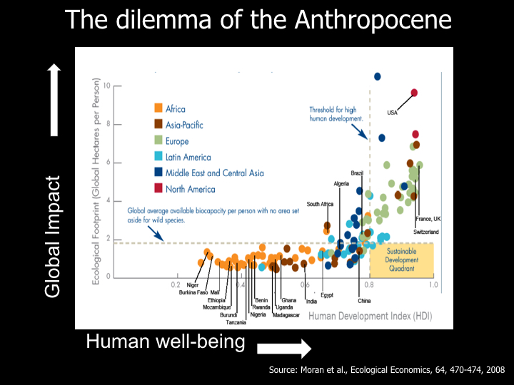 The Age of Transition • Anthropocene