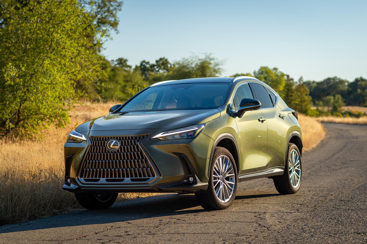 2023 Lexus NX 350h review: convincing upgrades