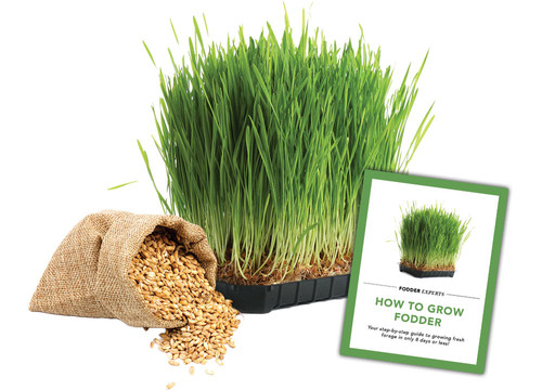 Fodder Growing Kit | Colton Woods