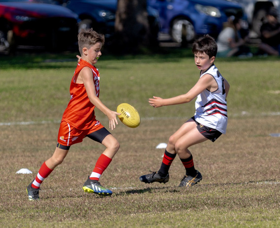 HOME | Lismore Swans JAFL