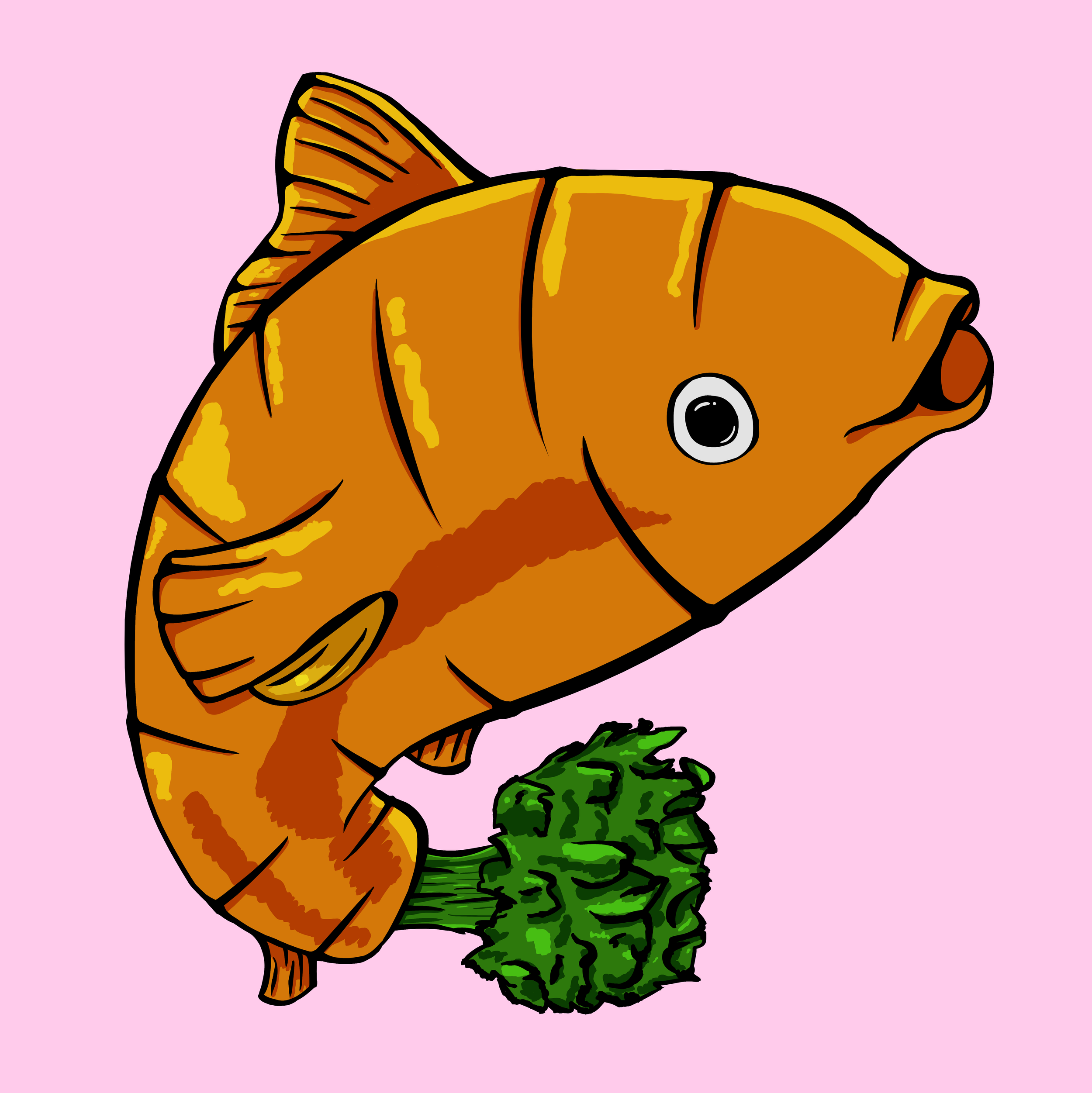 Support Artists | Carrot Fish