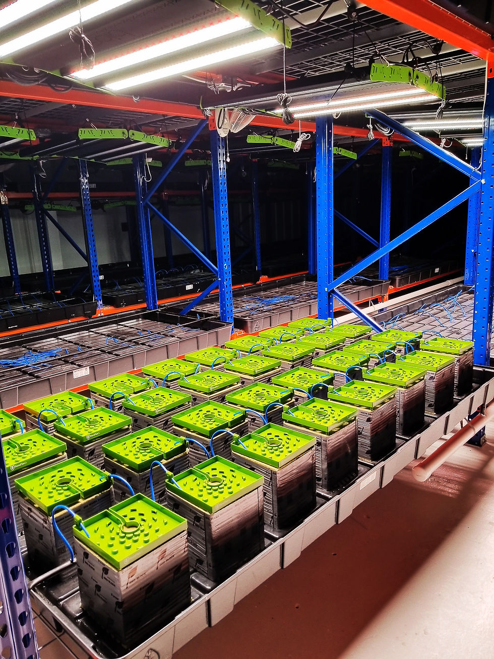 Cannabis Greenhouses-Grow Pods by Thrive Grow Systems