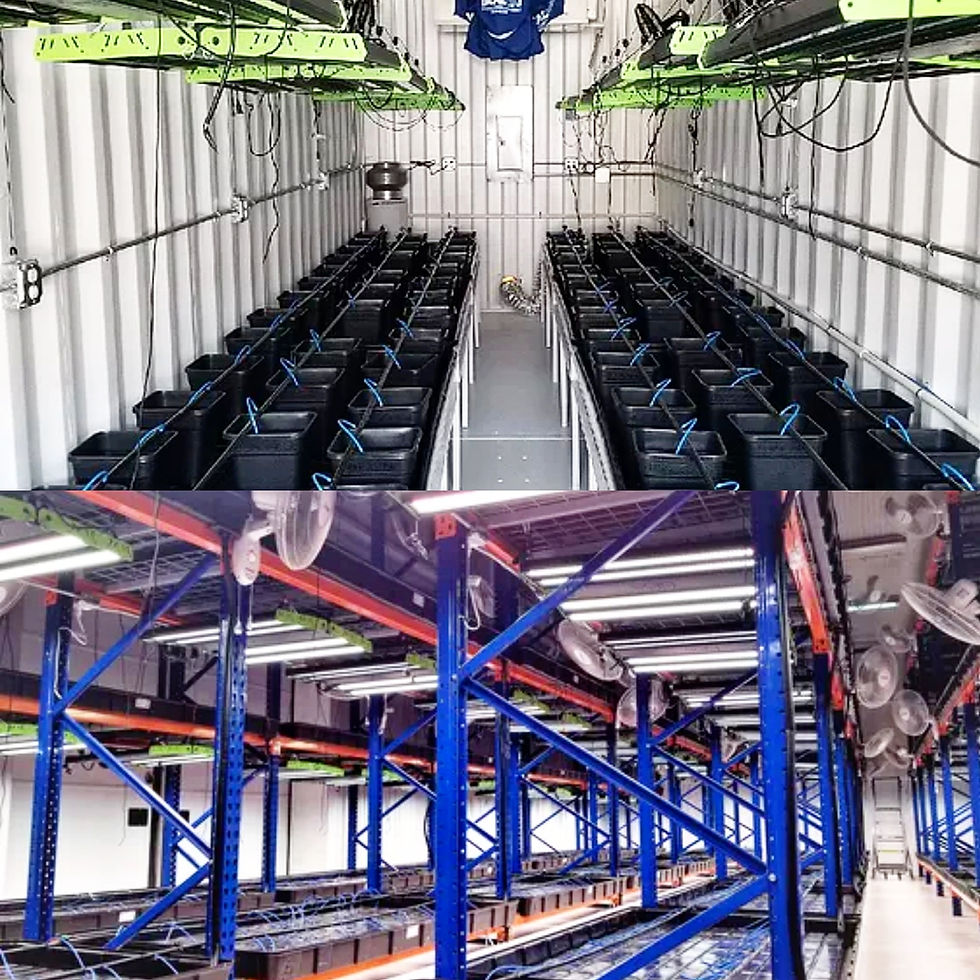 Cannabis Greenhouses-Grow Pods by Thrive Grow Systems