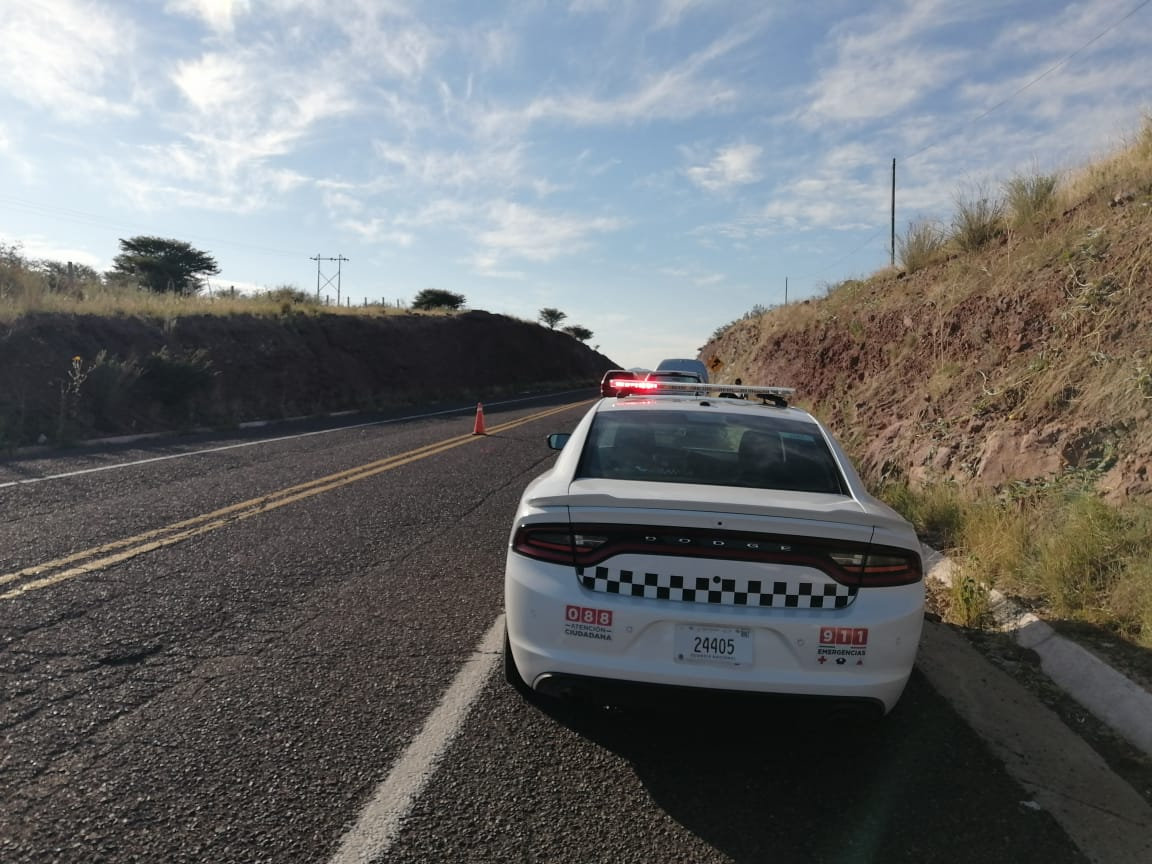 Familia se impacta contra un semoviente en la rúa Parral Durango