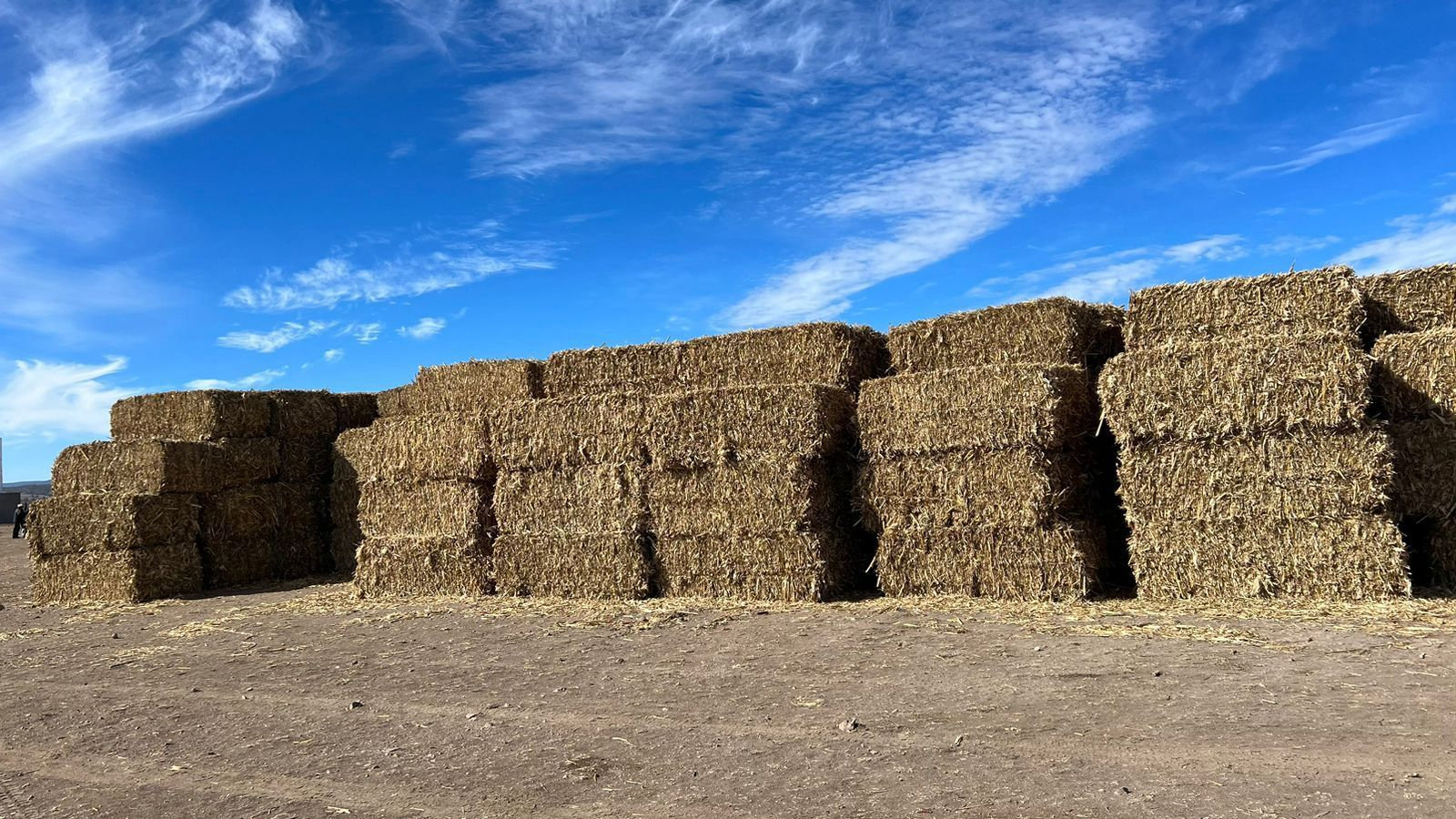 Entrega Estado 4 mil pacas de alimento para ganado en la región sur