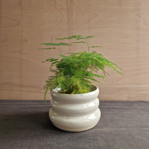 Curvy Plant Pot | Mysite