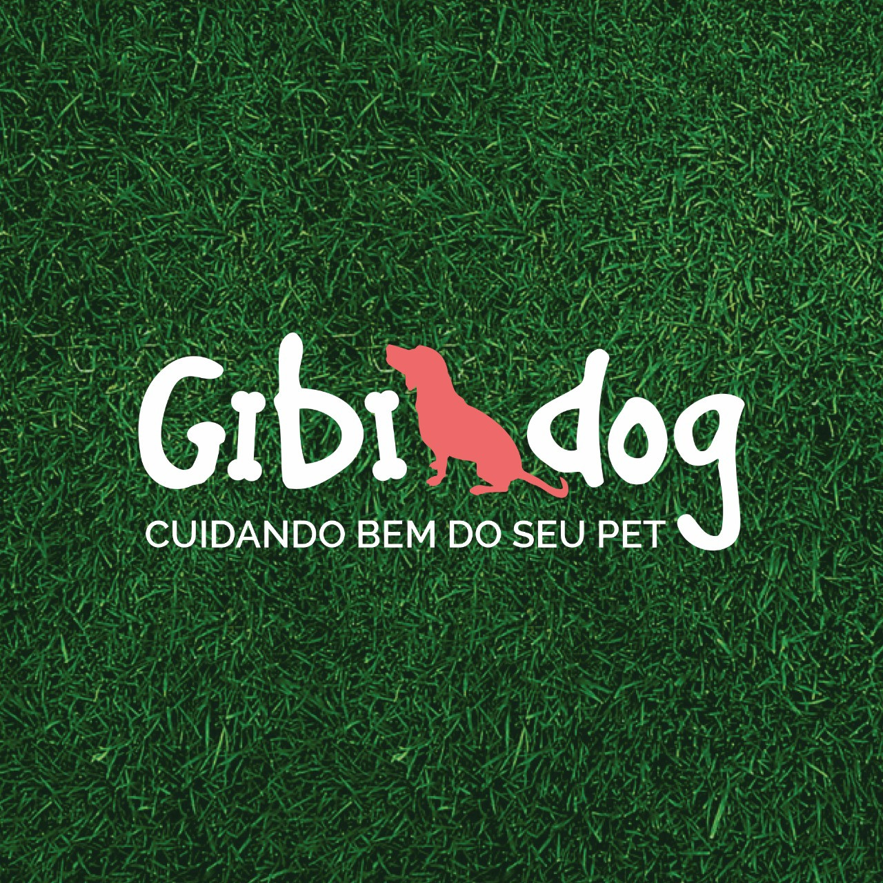 Adestramento Positivo, Consultoria PET | Taubaté - São Paulo | Gibi Dog