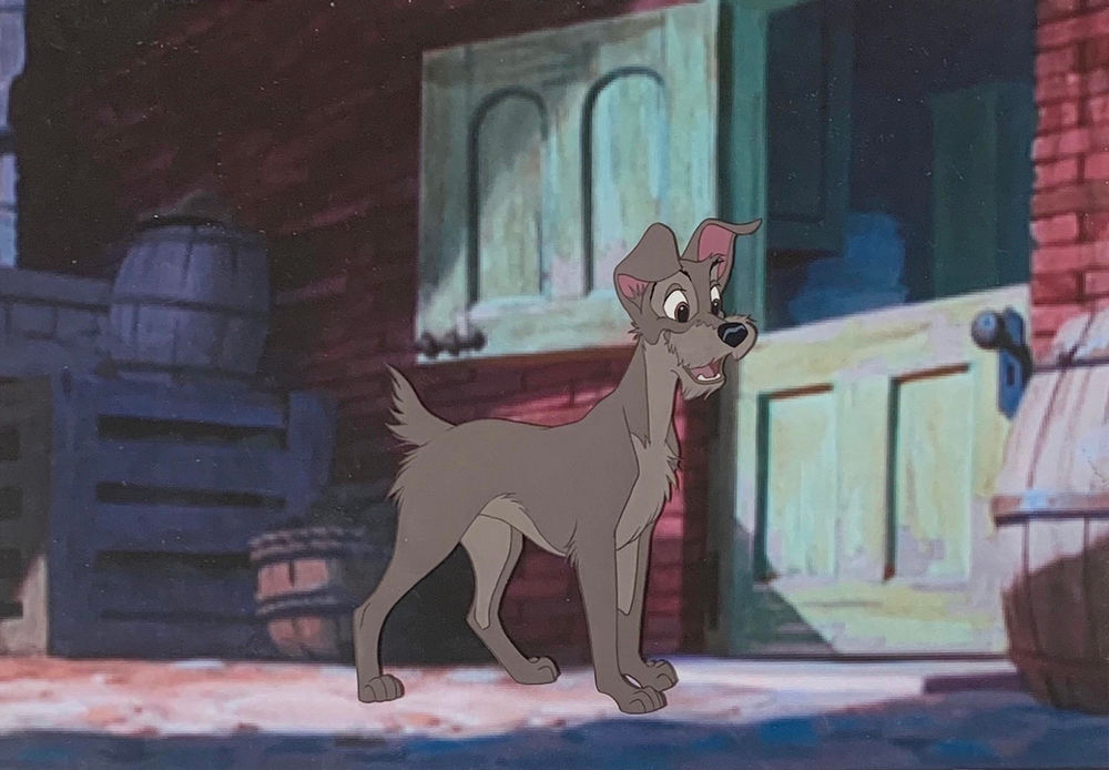 Original Production Animation Cel of Tramp from "Lady and the Tramp," 1955