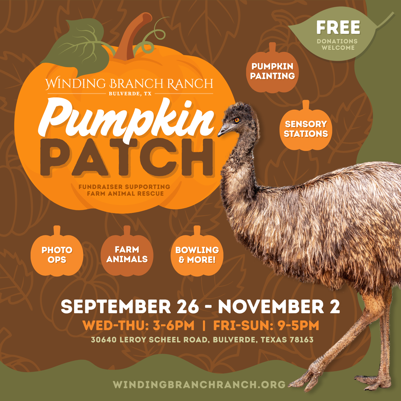 Pumpkin Patch Setup | Winding Branch Ranch
