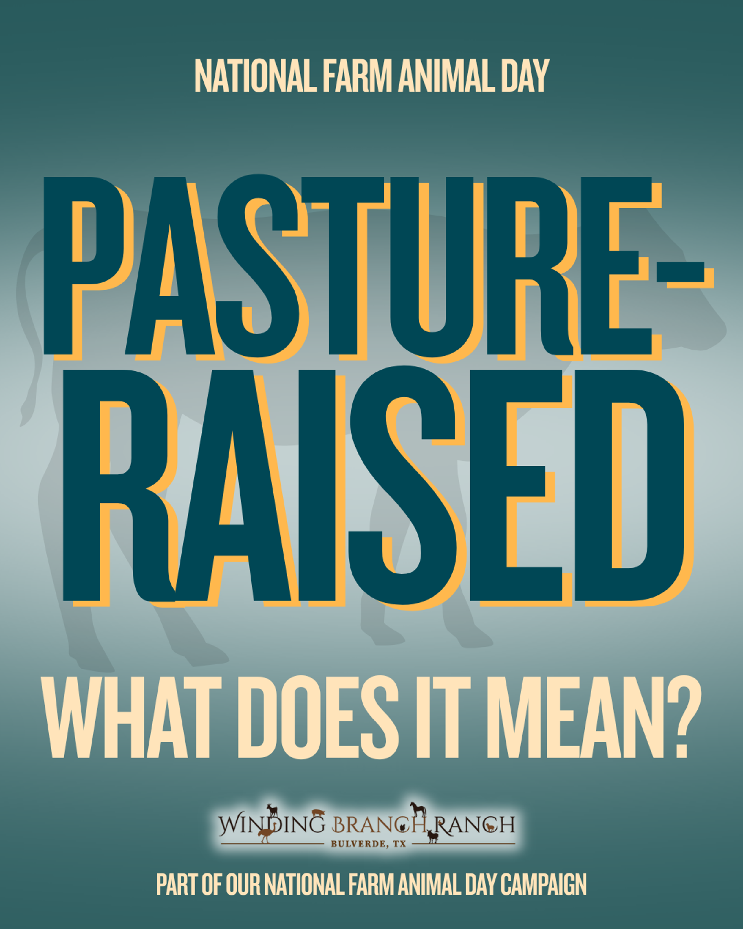 Pasture-Raised: What It Really Means on Food Labels