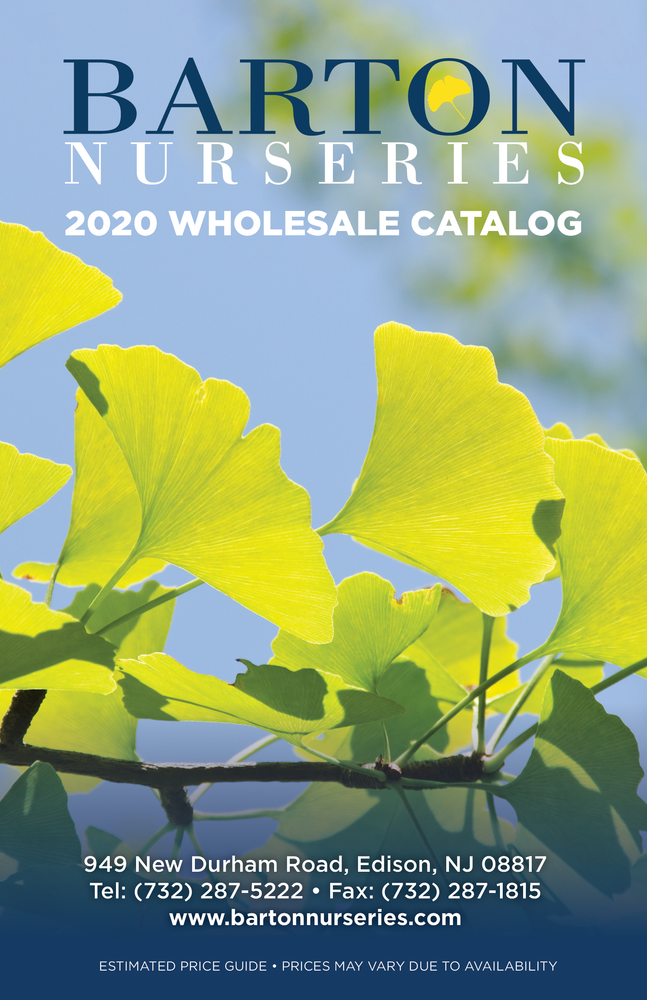 Catalog Designer For Tree Nursery catalog-designer-for-tree-nursery