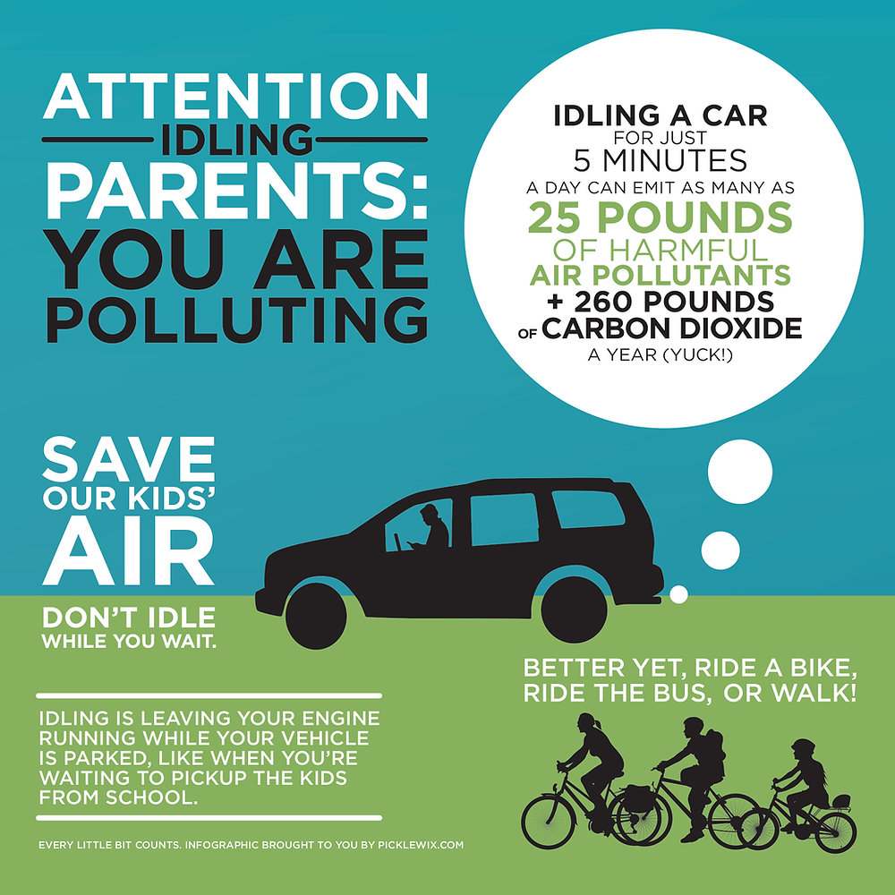 Air Pollution Infographic