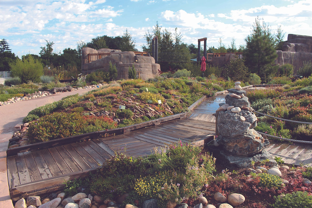 Green Roofs Ramp Up with Passage of Denver Initiative