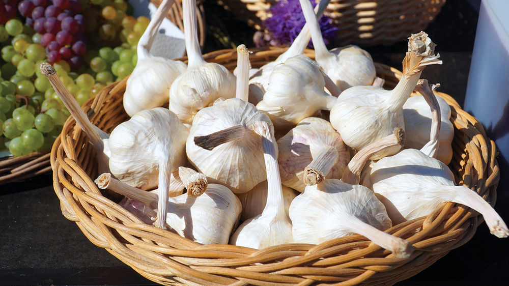 Garlic: Some History & Tips for Growing & Cooking