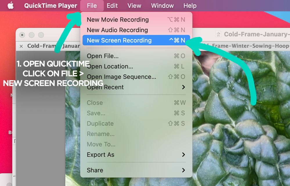 Quicktime Screen Recording: How to Stop Recording