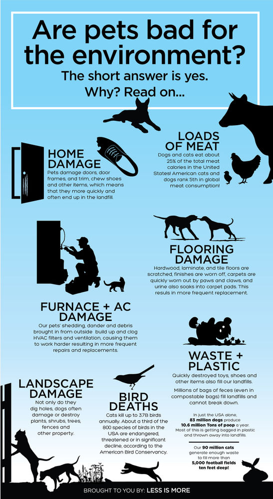 Infographic Design: Are pets bad for the Environment?