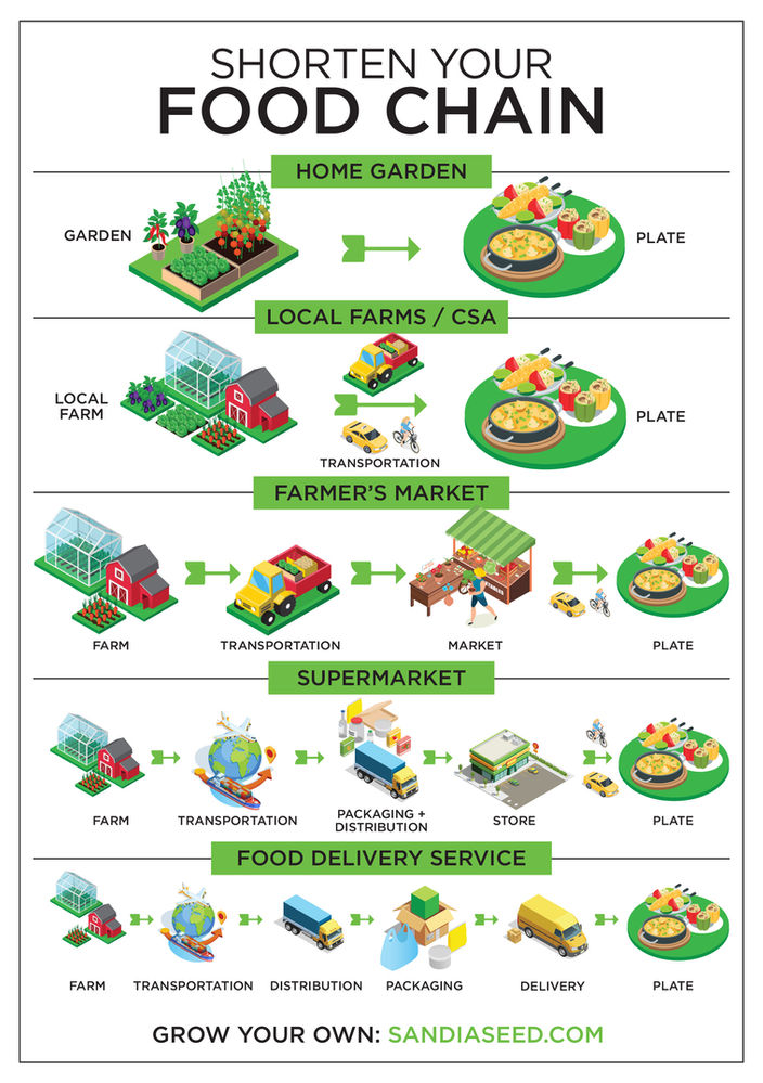 Food Waste Infographic - Shorten Your Food Chain