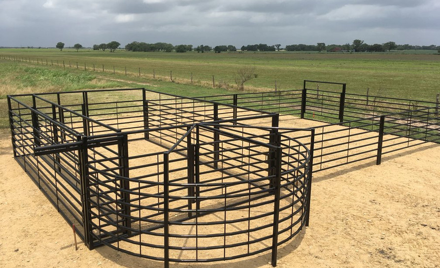 Custom Cattle Handling System 3 | BrinTough Equipment, Inc. Texas