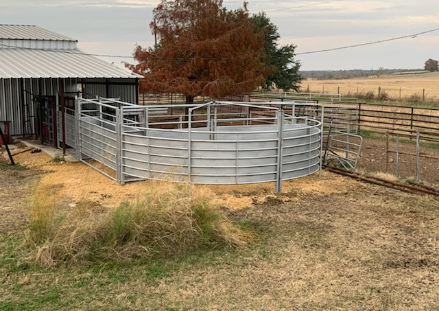 Custom Cattle Handling System 5 | BrinTough Equipment, Inc. Texas