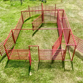cattle sorting pens