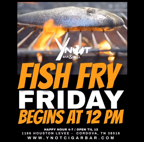 EVENTS | Ynot Cigar Bar