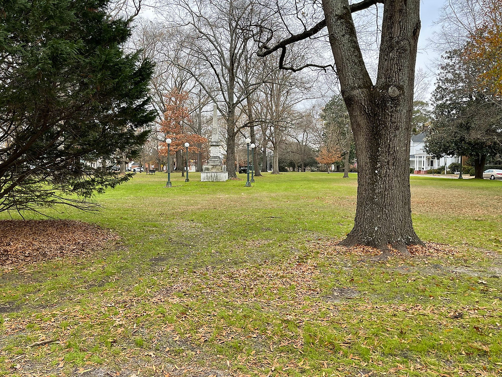 Tarboro Celebrates Hometown Homecoming