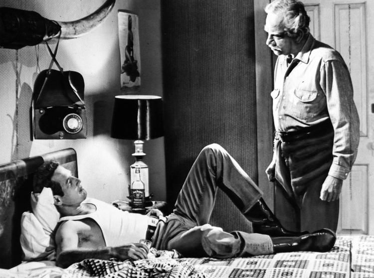 HUD, 1963, Paul Newman, Melvyn Douglas, Patrica Neal, Brandon DeWilde ...