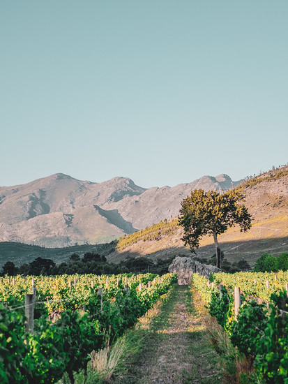 ABOUT | La Roche Estate