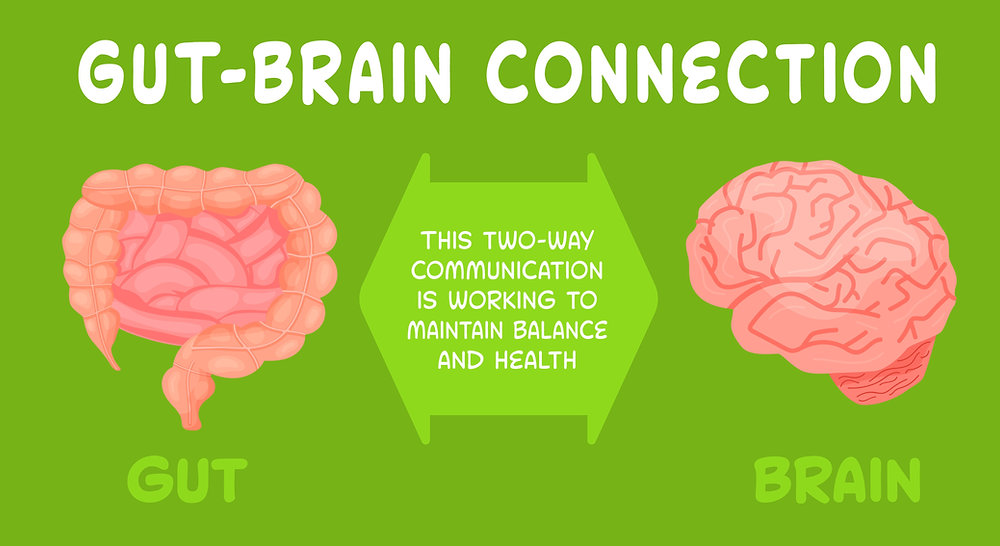Digestion and the gut-brain connection