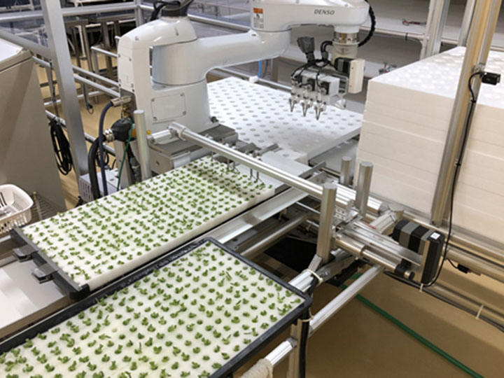 Osaka Sakai Plant Factory Corporation Artificial Light Plant Factory