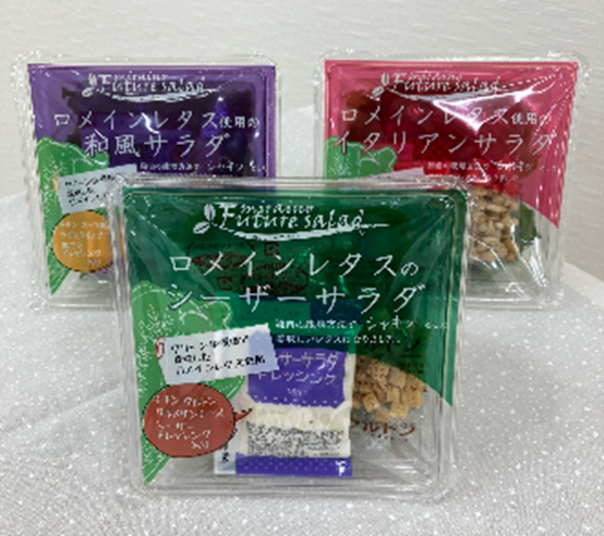 Farm & Factory TAMURA, Japan's largest completely closed plant factory ...