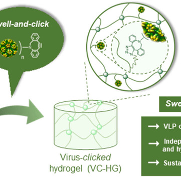 Research Overview | MONET CCI