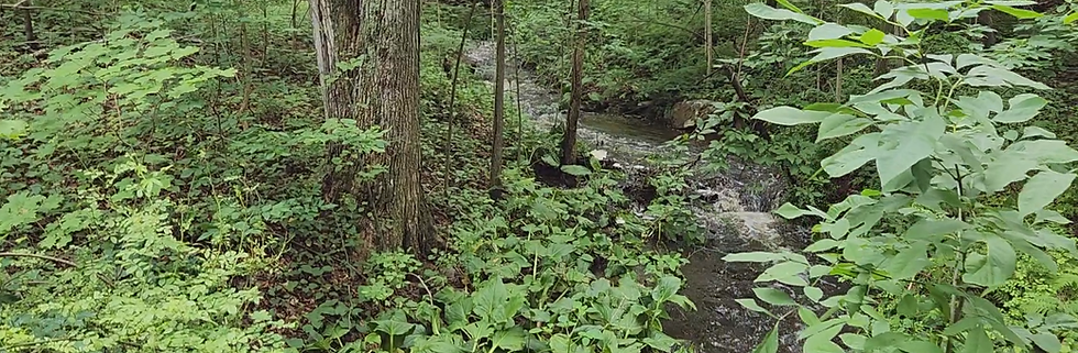 Pleasant Valley Maple Lodging | Hudson Valley Rental