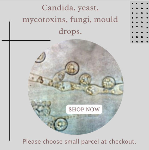 CANDIDA, YEAST, MYCOTOXINS FUNGI + MOULD DROPS | My Site