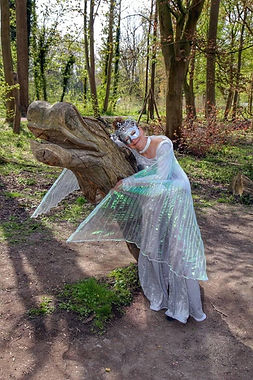 Steltperformer | De Boel op Stelten