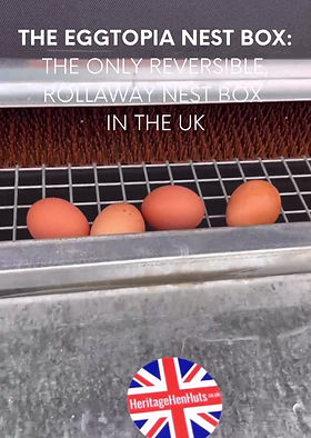 chicken nesting boxes uk