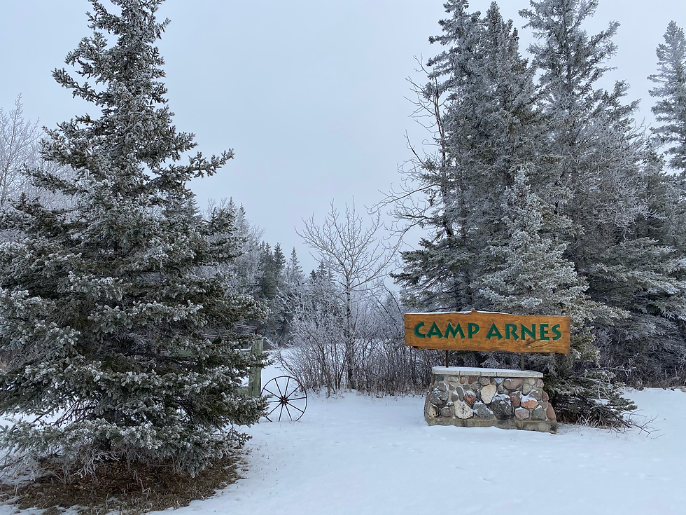 HOME | Camp Arnes